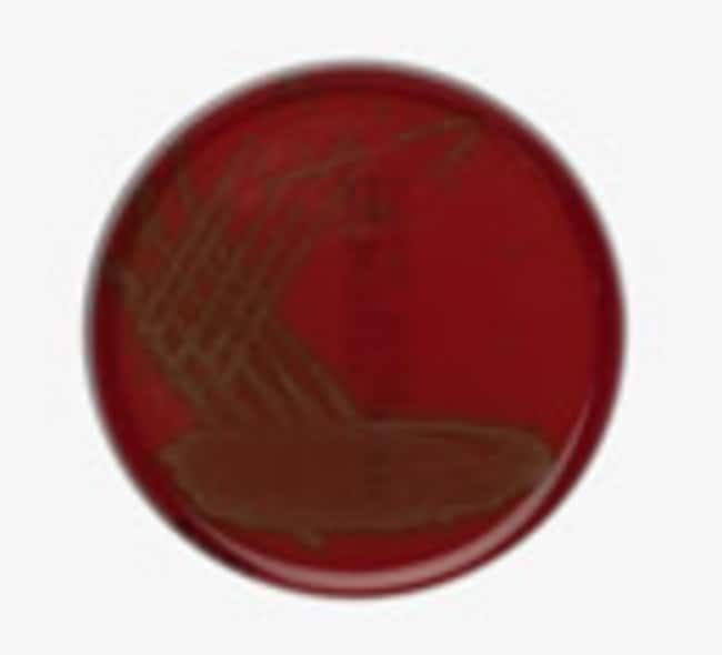 Thermo Scientific Columbia CNA Agar with Sheep Blood Medium 100/Pk ...