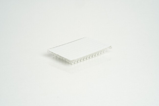 Thermo Scientific SureTect Escherichia coli STEC Identification PCR ...