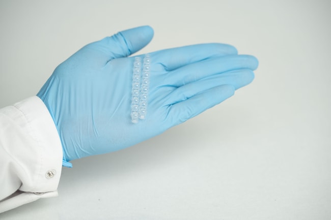 Thermo Scientific Thermo Scientific Lysis Caps, Domed:Molecular Biology ...